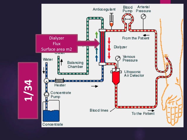 Basic principles of hemodialysis final | PPTX | Chemistry | Science
