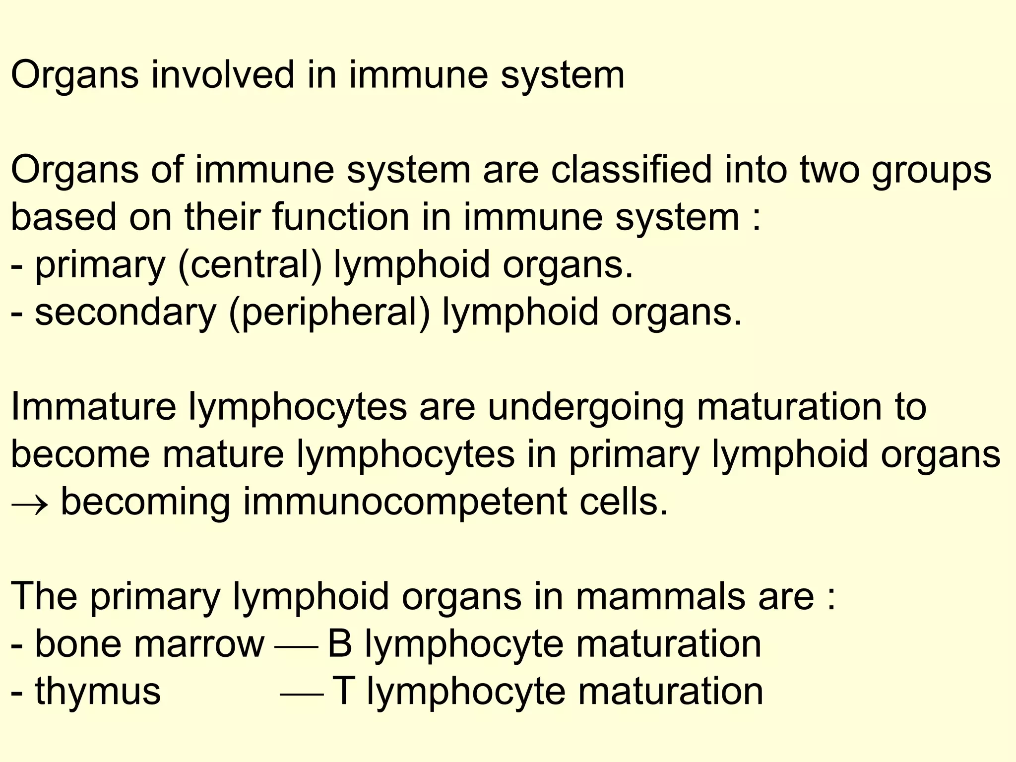 basic principles of immune system.ppt