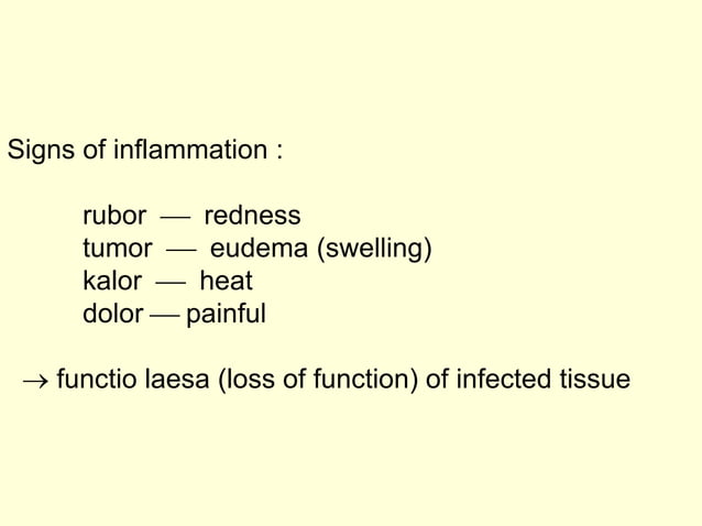 basic principles of immune system.ppt | Infectious Diseases | Diseases ...