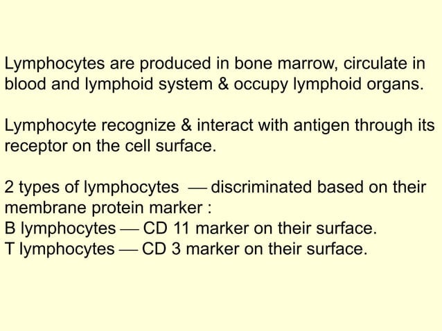 basic principles of immune system.ppt | Infectious Diseases | Diseases ...