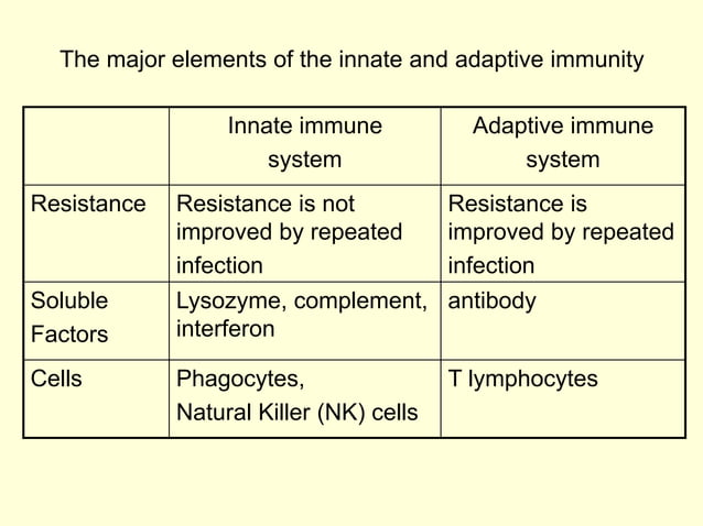 basic principles of immune system.ppt | Infectious Diseases | Diseases ...