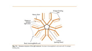 Basic principles of Immunology in detail.pptx
