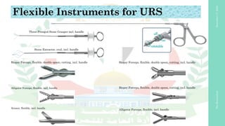 Basic Principles of Laparoscopy - Urology.pptx