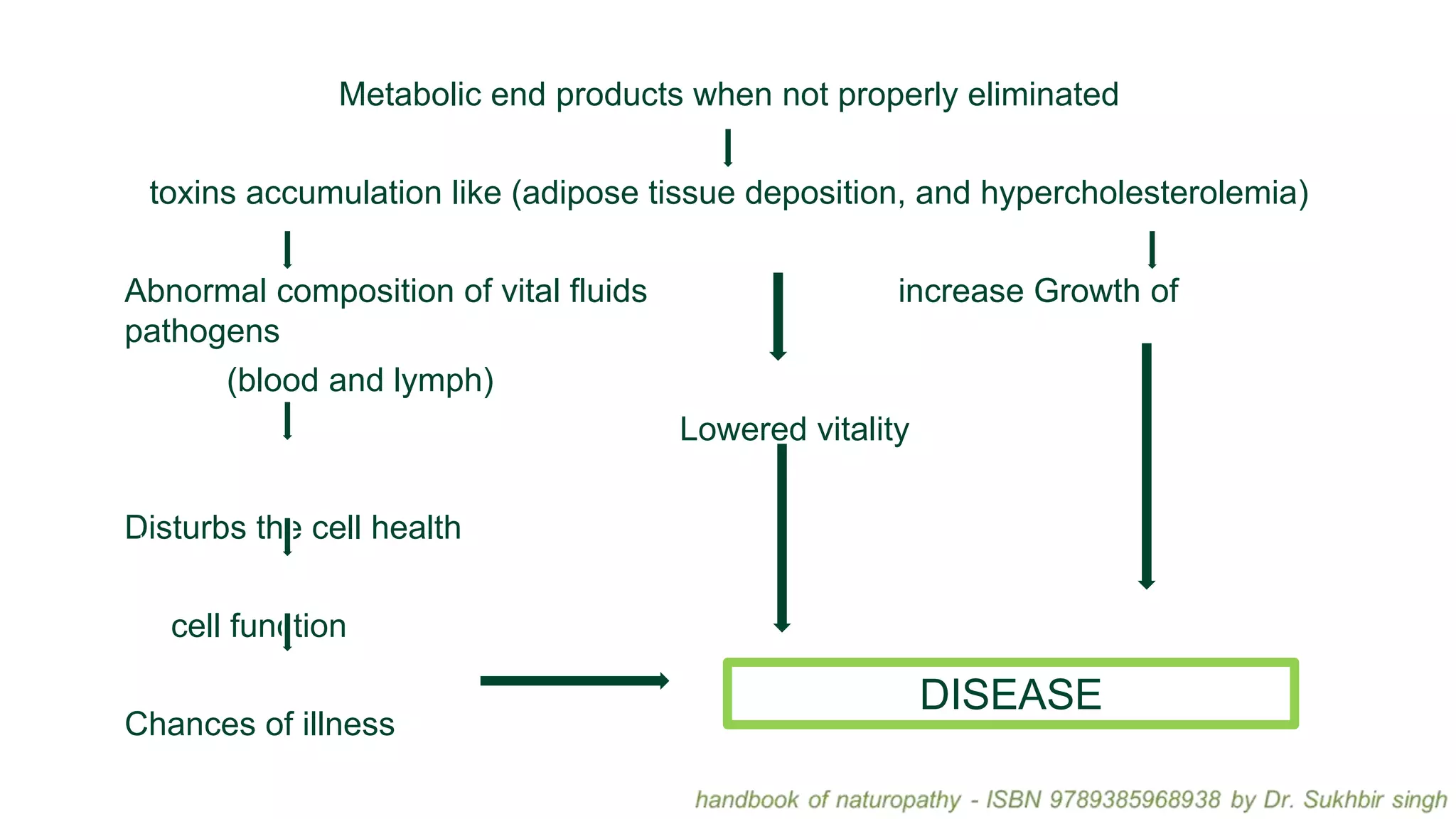BASIC PRINCIPLES OF NATUROPATHY | PPTX