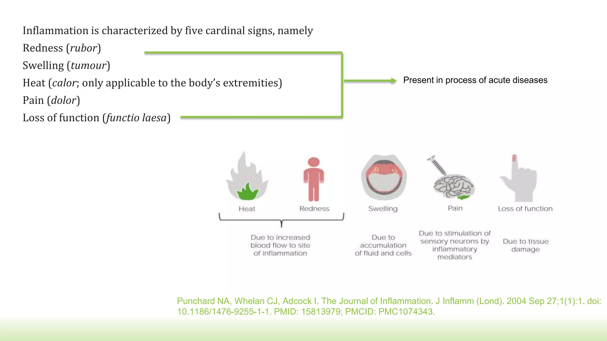 BASIC PRINCIPLES OF NATUROPATHY | PPTX
