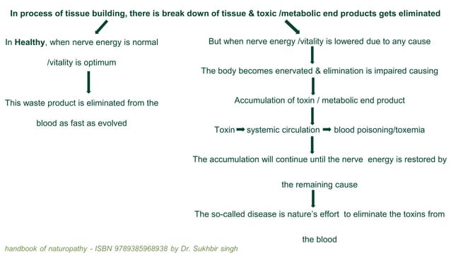 BASIC PRINCIPLES OF NATUROPATHY | PPTX