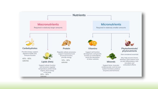 BASIC PRINCIPLES OF NATUROPATHY | PPTX