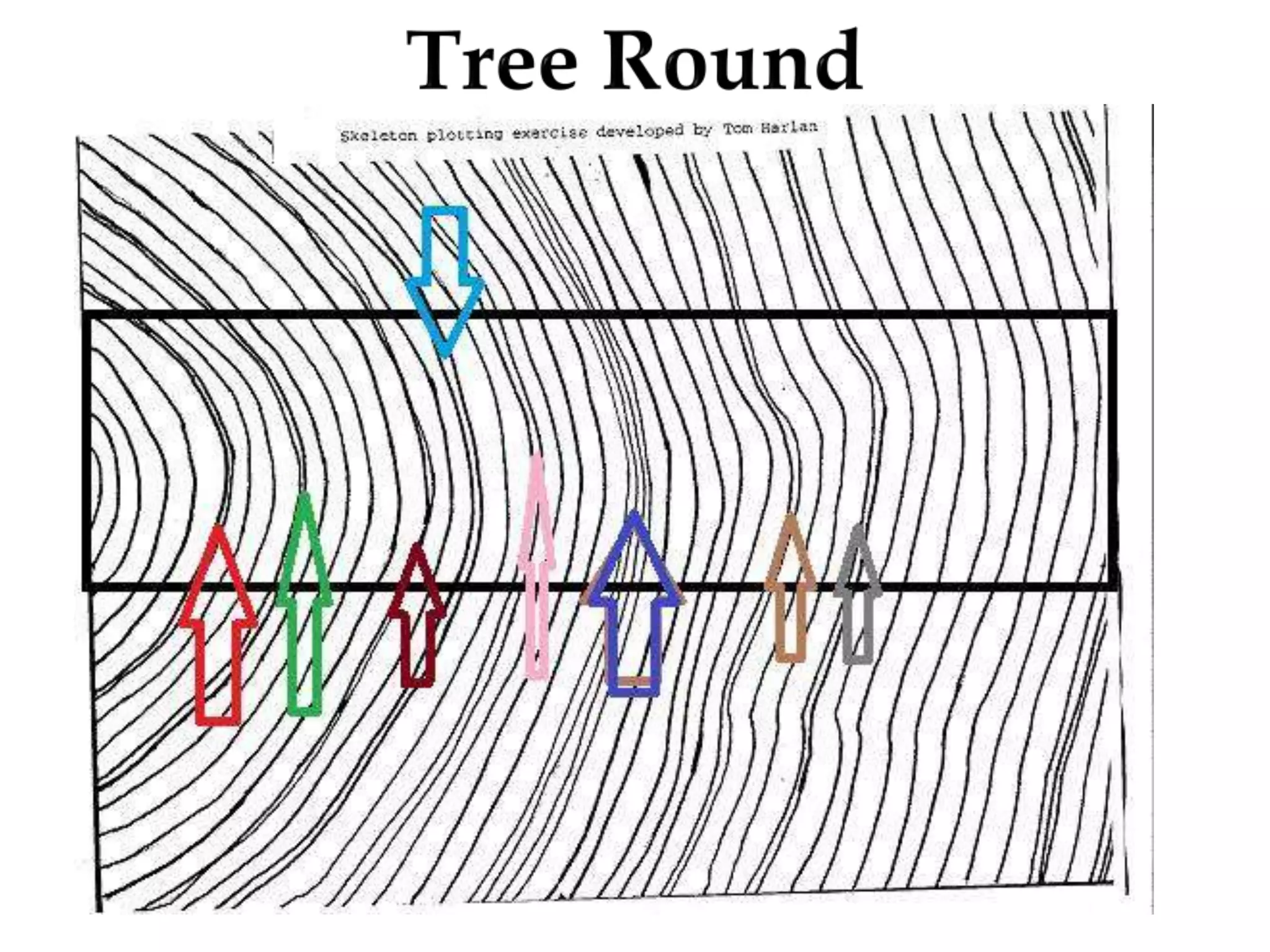 Basic principles of Paleoclimate and Paleoenvrironmental analysis.pptx
