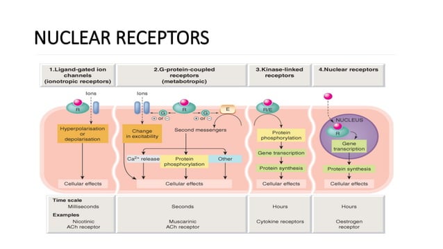 BASIC PRINCIPLES OF PHARMACODYNAMICS 2-1.pptx