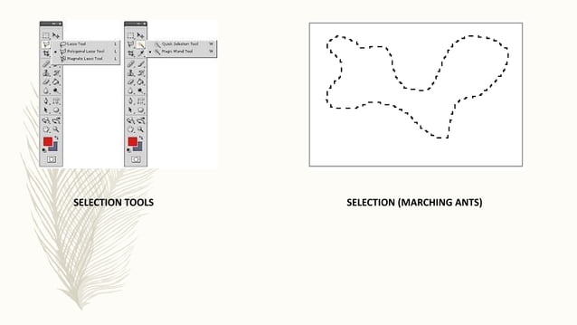 Basic principles of photo editing | PPTX | Graphics Software | Computer Software and Applications