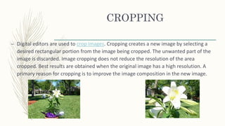 Basic principles of photo editing | PPTX