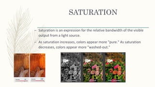 Basic principles of photo editing | PPTX