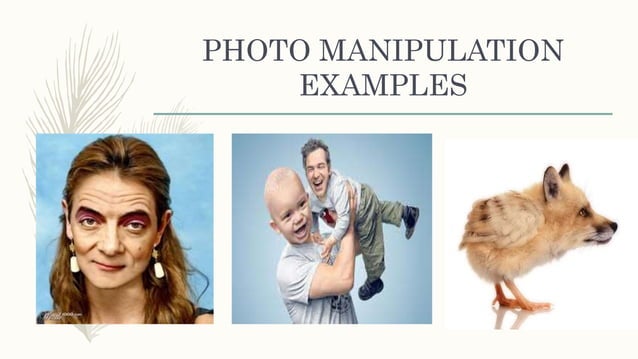 Basic principles of photo editing | PPTX | Graphics Software | Computer Software and Applications