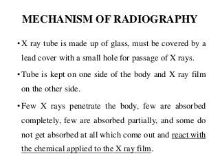 Basic principles of Radiological anatomy.pptx pptx.pptx