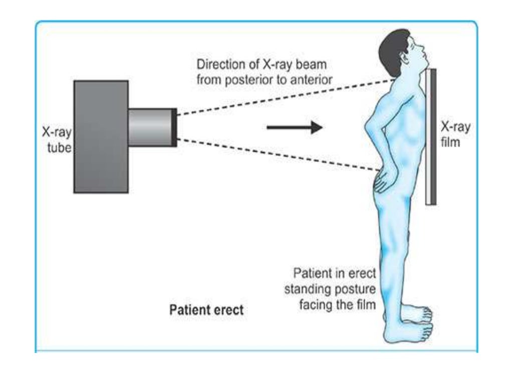 Basic principles of Radiological anatomy.pptx pptx.pptx
