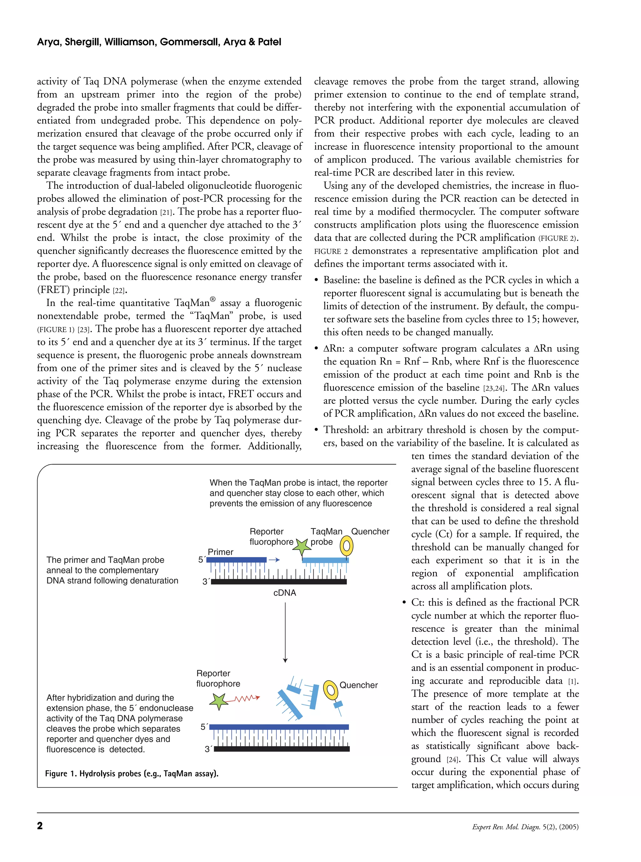 real time quantitative pcr | PDF