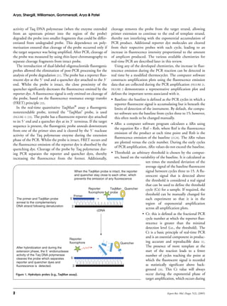 real time quantitative pcr | PDF