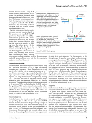 real time quantitative pcr | PDF