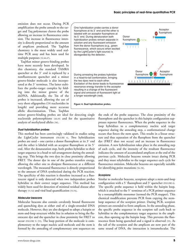 real time quantitative pcr | PDF