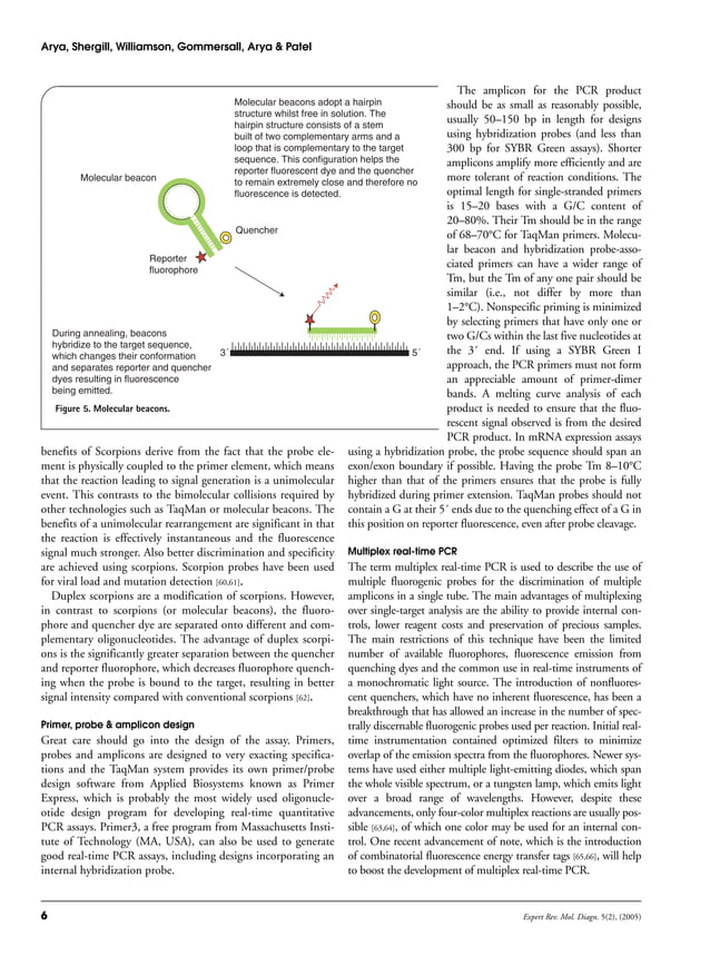 real time quantitative pcr | PDF