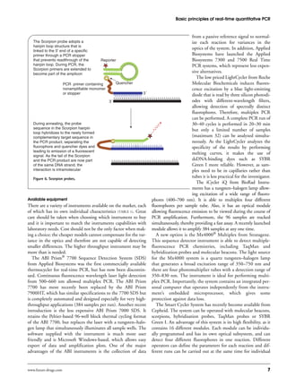 real time quantitative pcr | PDF