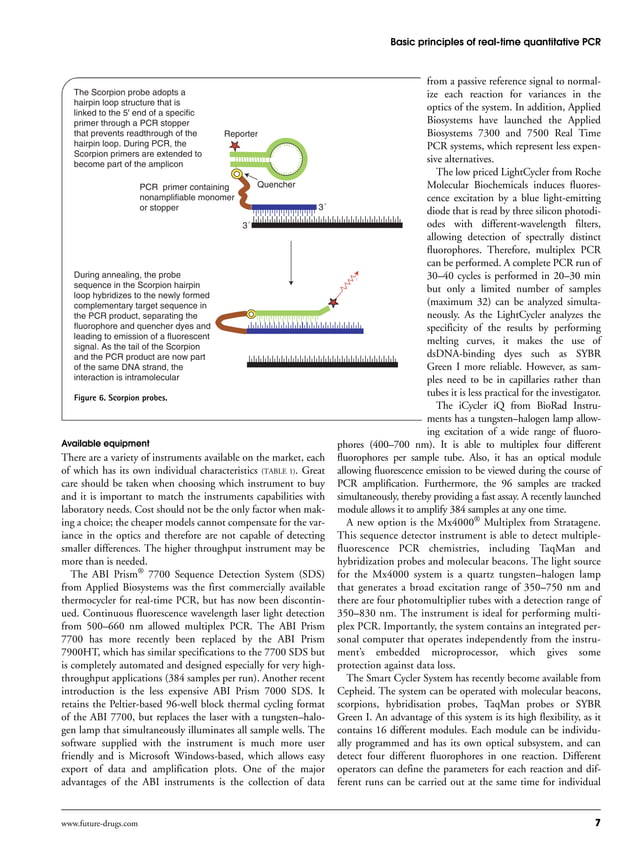real time quantitative pcr | PDF