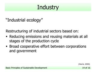 Basic Principles of Sustainable_Development.pdf