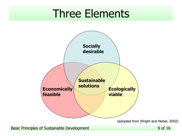 Basic Principles of Sustainable_Development.pdf