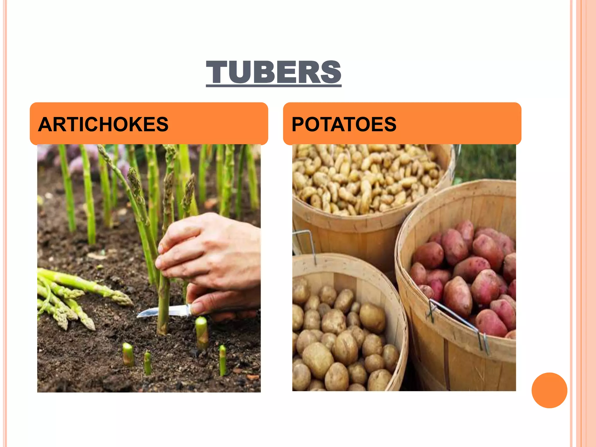 Basic principles of vegetables cookery | PPTX