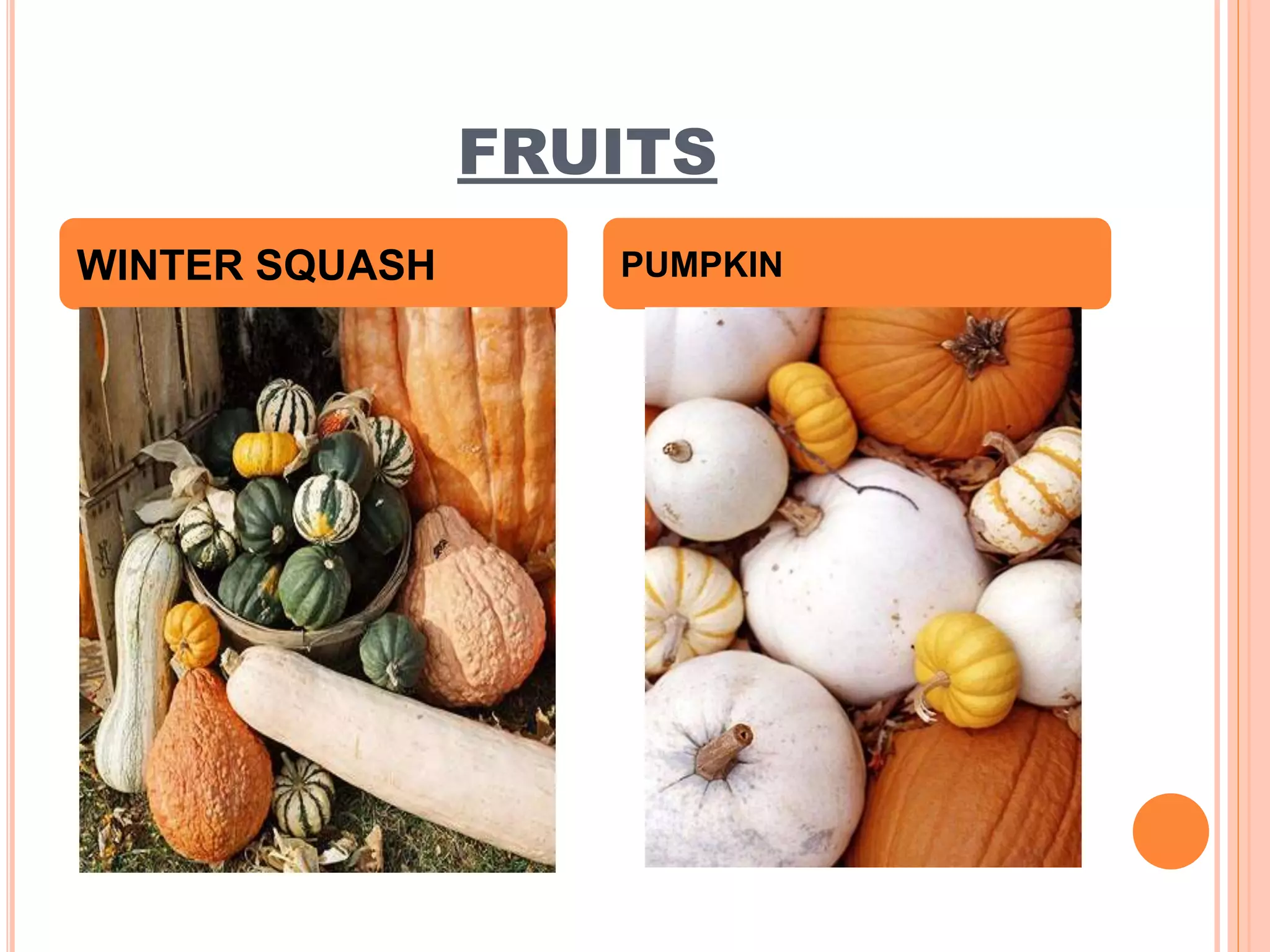 Basic principles of vegetables cookery | PPTX