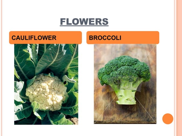 Basic principles of vegetables cookery | PPTX | Gardening | Home & Garden