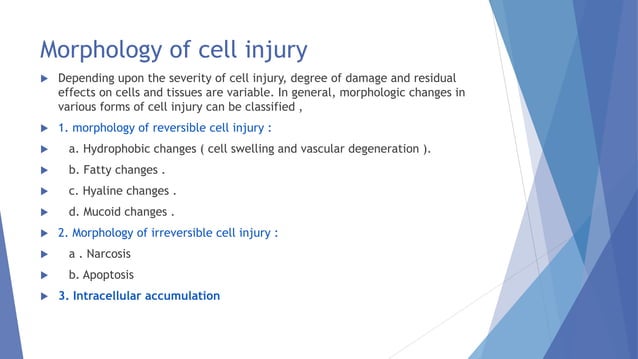 Basic Principle to Cell Injury and Cell Adaptation.pptx