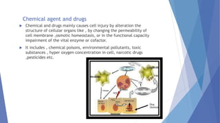Basic Principle to Cell Injury and Cell Adaptation.pptx