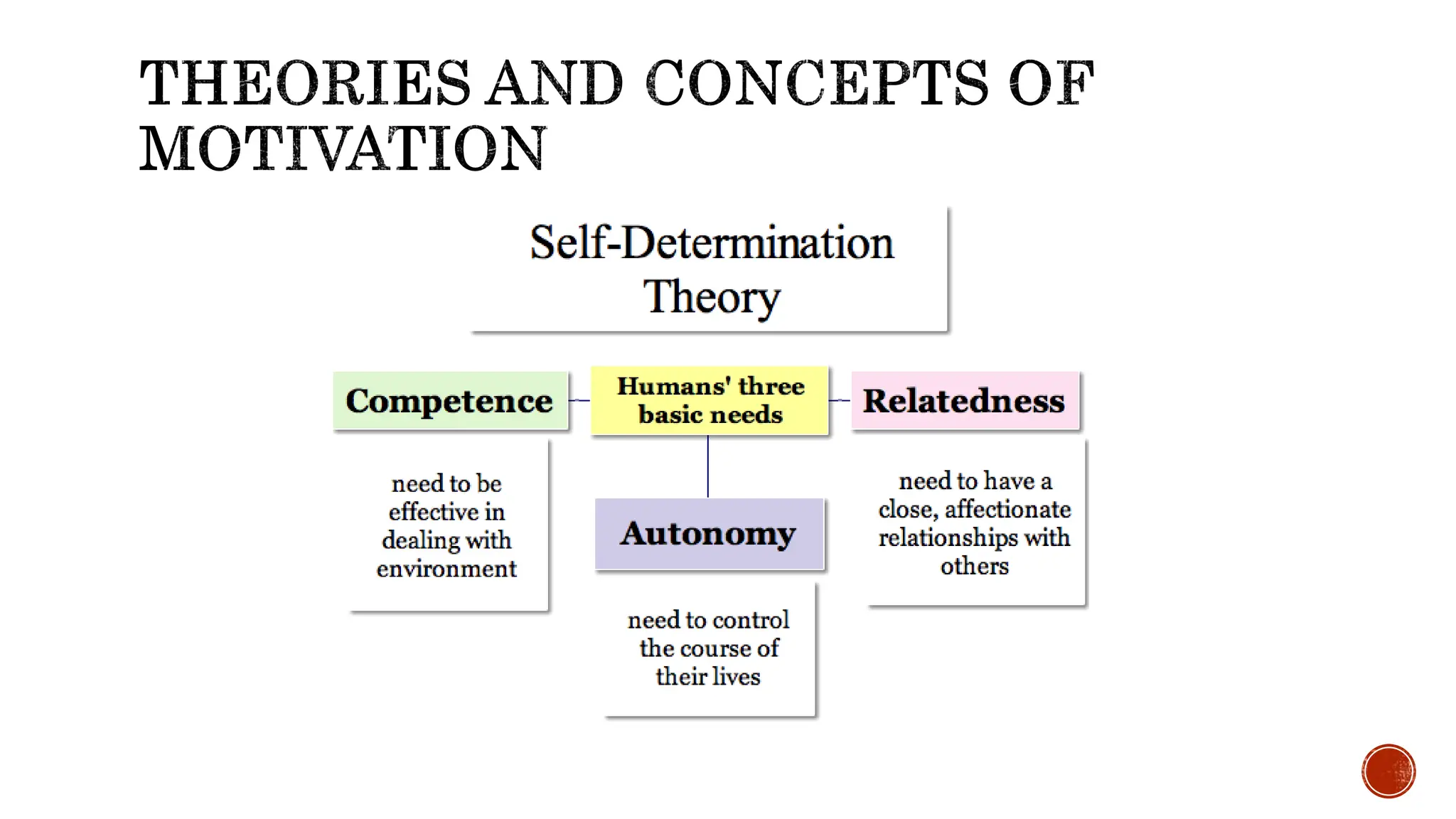 Basic Processes of Behavior.pptx....hhgf