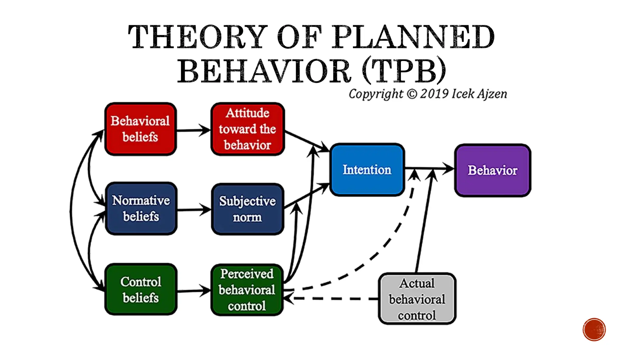 Basic Processes of Behavior.pptx....hhgf