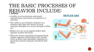 Basic Processes of Behavior.pptx....hhgf