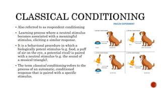 Basic Processes of Behavior.pptx....hhgf