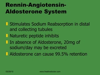 Basic Processes Of Kidney | PPT