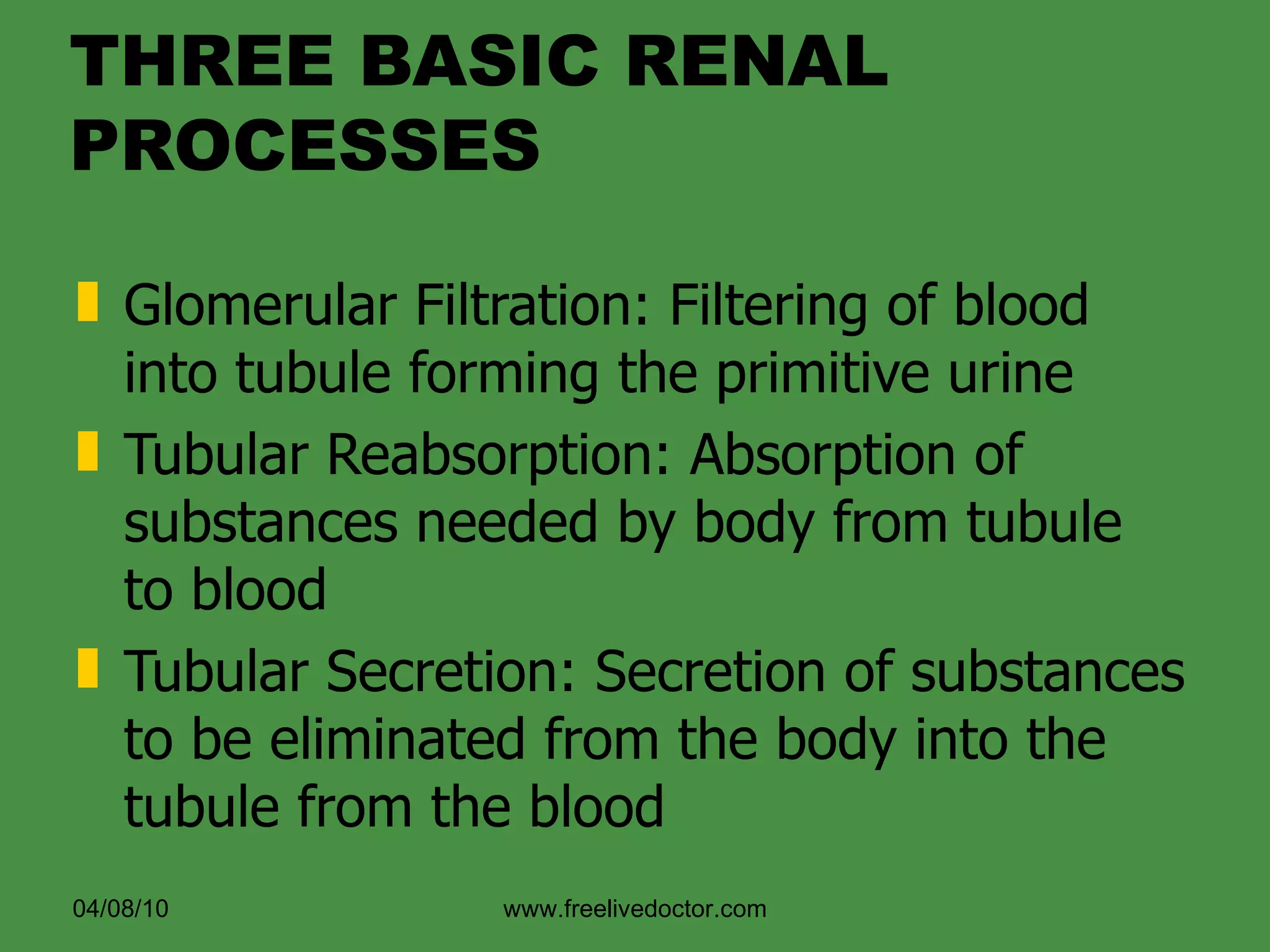 Basic Processes Of Kidney | PPT