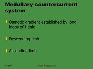 Basic Processes Of Kidney | PPT