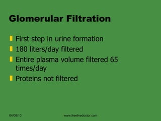 Basic Processes Of Kidney | PPT