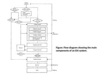 Basic Process of Environmental Impact Assessment.pptx