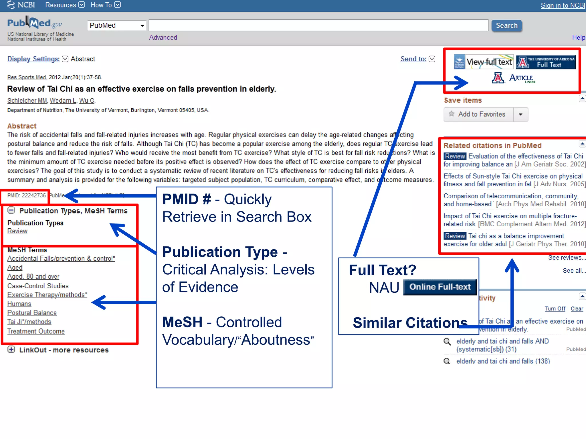 PubMed Basics | PPTX | Search | Internet