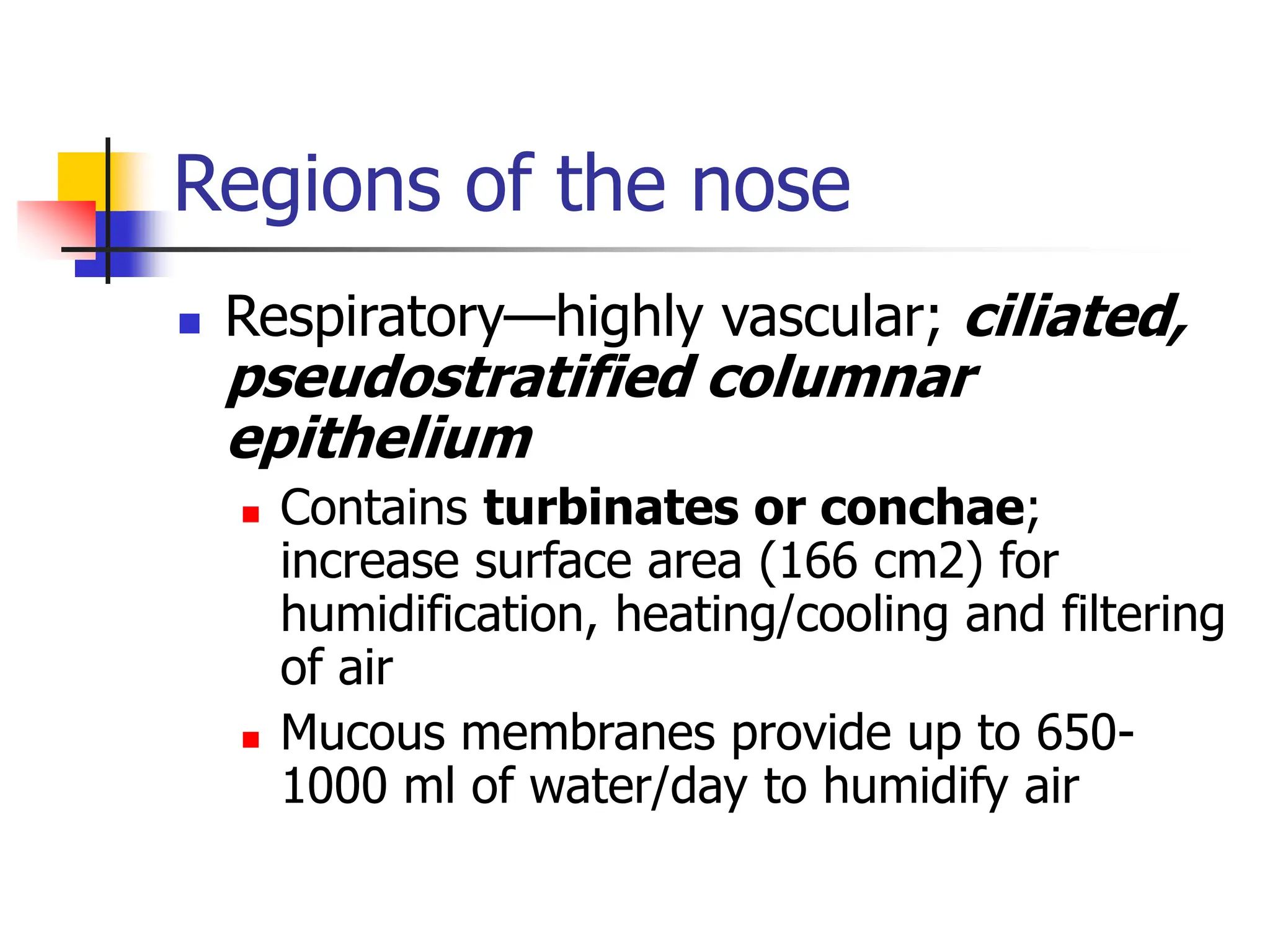 Basic Pulmonary anatomy, Physiology of respiratory system | PPTX