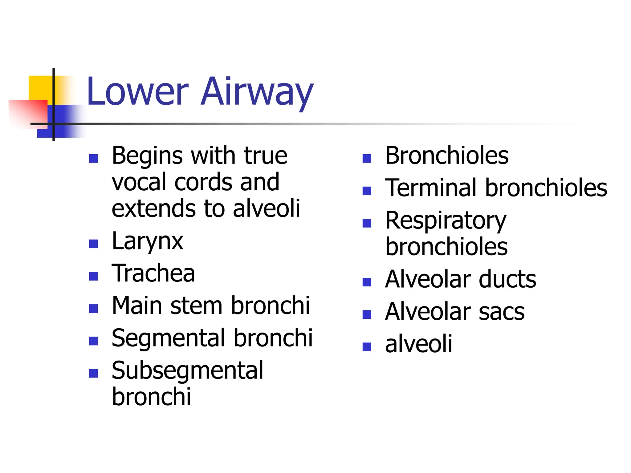 Basic Pulmonary anatomy, Physiology of respiratory system | PPTX