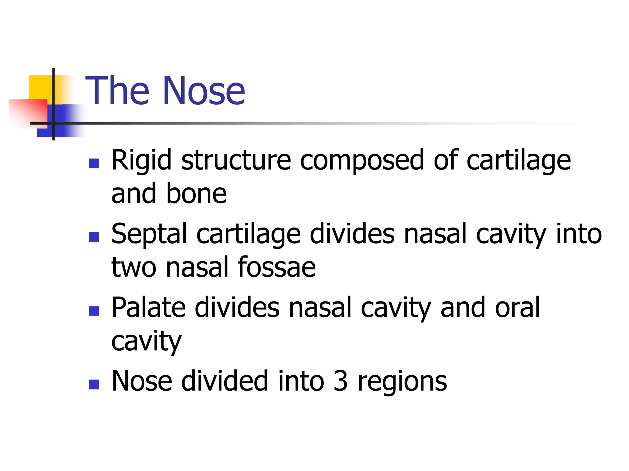 Basic Pulmonary anatomy, Physiology of respiratory system | PPTX