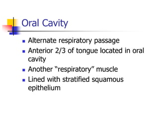 Basic Pulmonary anatomy, Physiology of respiratory system | PPTX