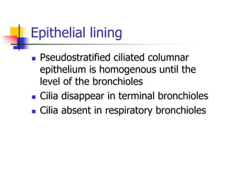 Basic Pulmonary anatomy, Physiology of respiratory system | PPTX