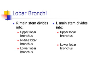 Basic Pulmonary anatomy, Physiology of respiratory system | PPTX