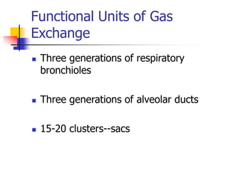 Basic Pulmonary anatomy, Physiology of respiratory system | PPTX